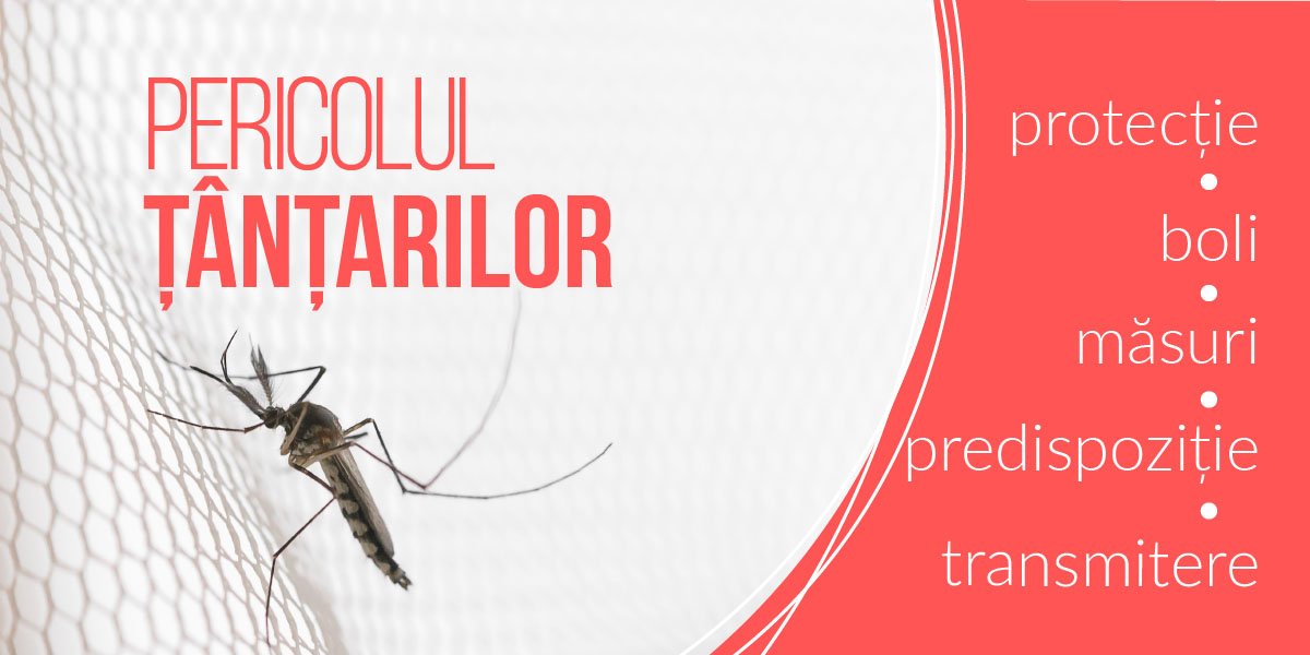 Pericolul reprezentat de țânțari și cum putem sa îi evităm? - Medic Chat