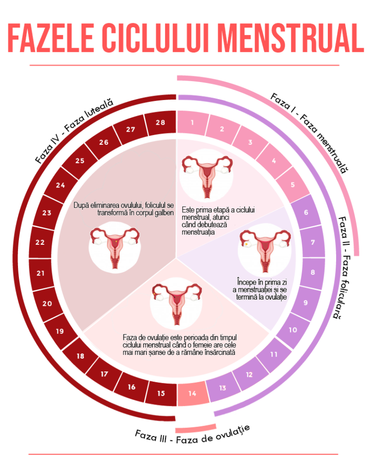 Ciclul menstrual și sănătatea feminină - Medic Chat