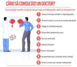 Prostata - Roluri, Structură,Teste. Adenom de prostată. Prostatita ...